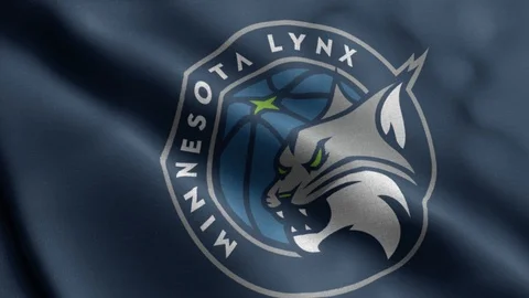 Wnba Stock Video Footage | Royalty Free Wnba Videos | Pond5