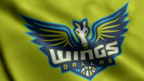 Wnba Stock Video Footage | Royalty Free Wnba Videos | Pond5