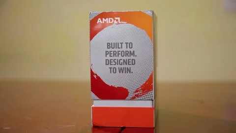 Ryzen Stock Footage ~ Royalty Free Stock Videos | Pond5