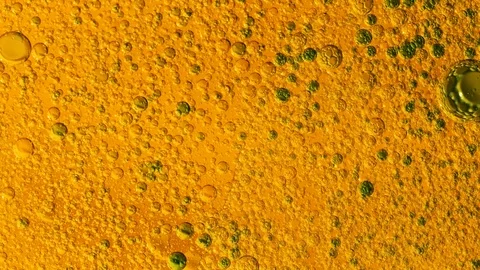 Closeup and detailed science experiment ... | Stock Video | Pond5