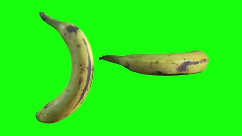 Green Banana Stock Videos – Royalty-Free HD & 4K Videos | Page 2