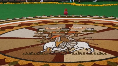 Millets Stock Footage ~ Royalty Free Stock Videos | Pond5