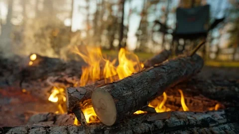 closeup Bonfire Burning with smoke in Fo... | Stock Video | Pond5