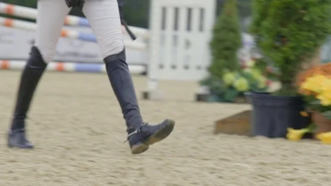 Horse Of Course Stock Videos – Royalty-Free HD & 4K Videos
