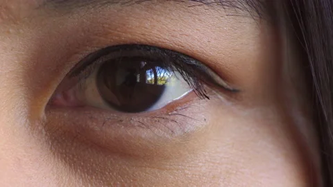 Closeup of a brown eye blinking during a... | Stock Video | Pond5
