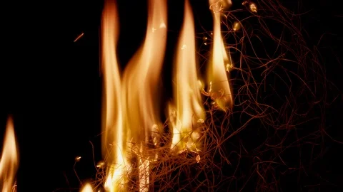 Strawpage Background Stock Videos – Royalty-Free HD & 4K Videos | Pond5