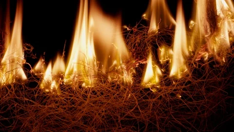 Straw Page Stock Videos – Royalty-Free HD & 4K Videos | Pond5