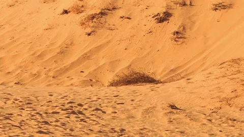 Closeup Camera Moves from Foot to Sand D... | Stock Video | Pond5