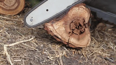 Closeup circular saw sawing a heart shap... | Stock Video | Pond5