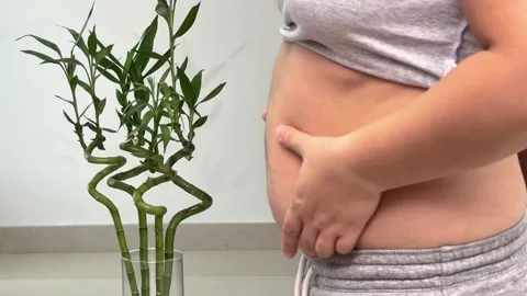 Closeup of fat folds on big belly of ove... | Stock Video | Pond5