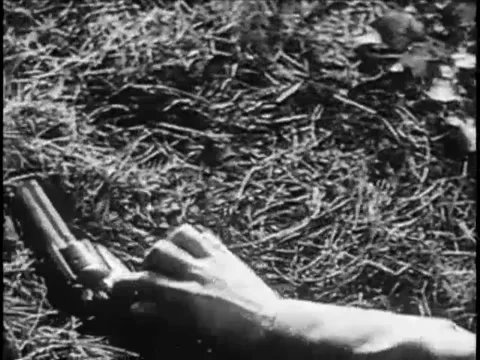 Gun On Grass Stock Videos – Royalty-Free HD & 4K Videos