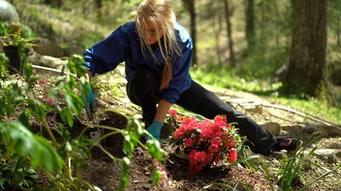 Closeup of pretty blond woman digging a ... | Stock Video | Pond5