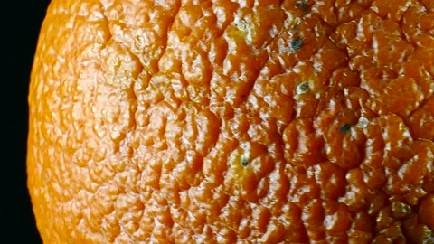 Closeup of a rotating rotting orange in ... | Stock Video | Pond5