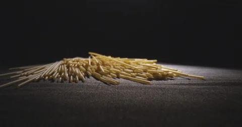 Type Shoot Stock Videos – Royalty-Free HD & 4K Videos | Pond5