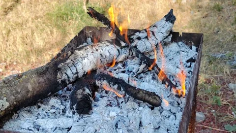 Closeup shot of a dying bonfire with bur... | Stock Video | Pond5