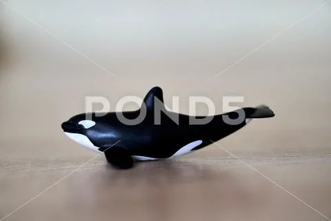 Photograph: Closeup shot of a mini Orca whale toy figurine on a wooden ...