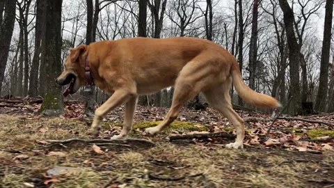 Broken Leg Hospital Stock Footage ~ Royalty Free Stock Videos | Page 8