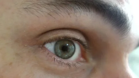 closeup side view of green human eye and... | Stock Video | Pond5