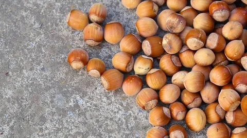 Closeup top view of brown hazelhuts layi... | Stock Video | Pond5