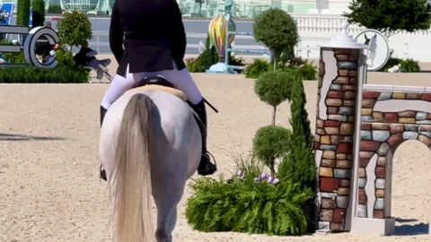 `Horses Pooping Stock Videos – Royalty-Free HD & 4K Videos | Pond5