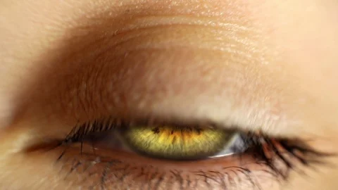 Zoom Into Eye Pupil Stock Videos – Royalty-Free HD & 4K Videos | Pond5