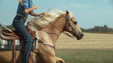 Horseback Riding T Stock Videos – Royalty-Free HD & 4K Videos