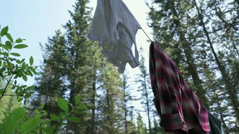 Clothes drying on clothesline below tree... | Stock Video | Pond5