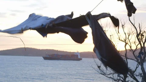 Clothes drying in wind near river | Stock Video | Pond5