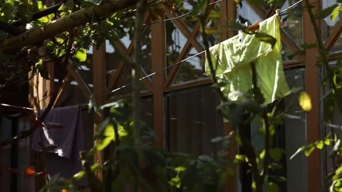 Hanging Cloth Rope Stock Videos – Royalty-Free HD & 4K Videos