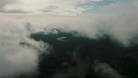 Clouds Canopy Over Tropical Forest In Th... | Stock Video | Pond5