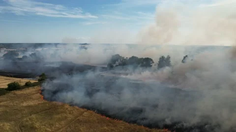Clouds of smoke in Farm fields on fire i... | Stock Video | Pond5