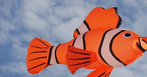 Clownfish Air Swimmer - "Finding Nemo" C... | Stock Video | Pond5