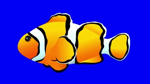 Clownfish cartoon animation. Clown fish. | Stock Video | Pond5
