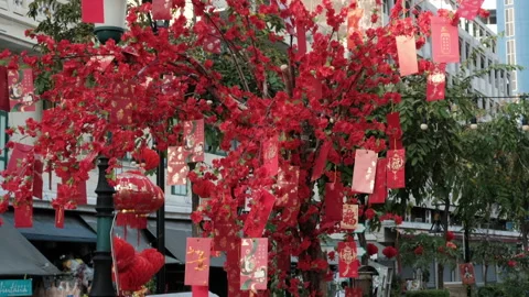 CNY Red Cherry Blossom Tree Chinese New ... | Stock Video | Pond5