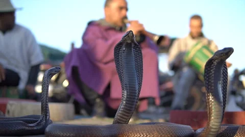 Charmed Stock Videos – Royalty-Free HD & 4K Videos