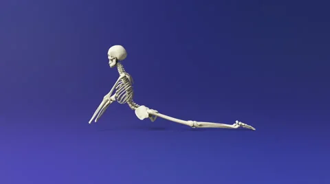 Cobra Pose Of Human Skeletal | Stock Video | Pond5
