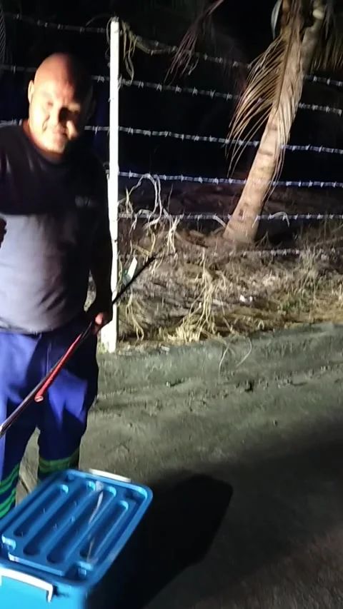 Cobra Rescued from Fishing Net Stuck in ... | Stock Video | Pond5