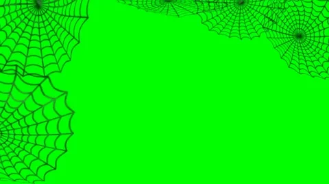cobweb moved by the wind - green screen | Stock Video | Pond5