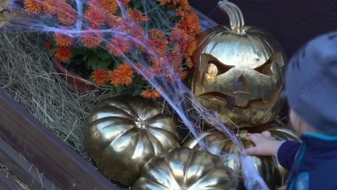 Game Boy Horror Stock Videos – Royalty-Free HD & 4K Videos | Pond5