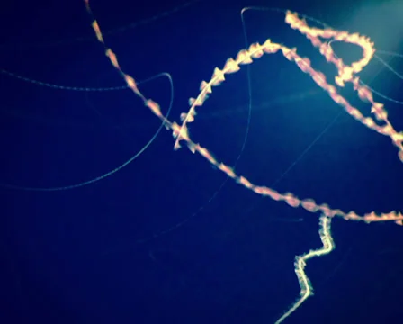 cockchafer bugs flying street light pole... | Stock Video | Pond5