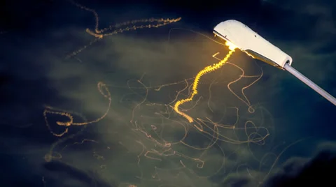 cockchafer bugs flying street light pole... | Stock Video | Pond5