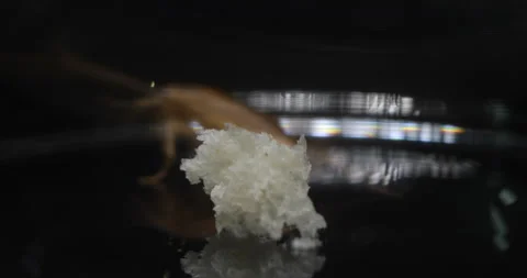 The Cockroach Is A Carrier Of The Diseas... | Stock Video | Pond5