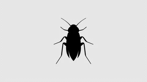 Cockroach graphic animation. Alpha chann... | Stock Video | Pond5