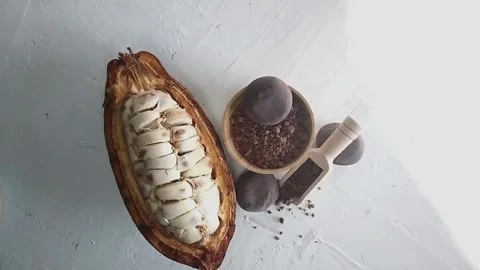 Cocoa bean pod cut in half with seeds, c... | Stock Video | Pond5
