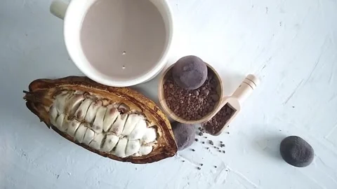 Cocoa solid, cocoa pod with beans and ho... | Stock Video | Pond5