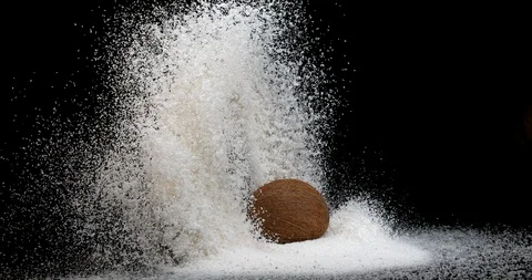 Cocos Nucifera Stock Video Footage | Royalty Free Cocos Nucifera Videos ...