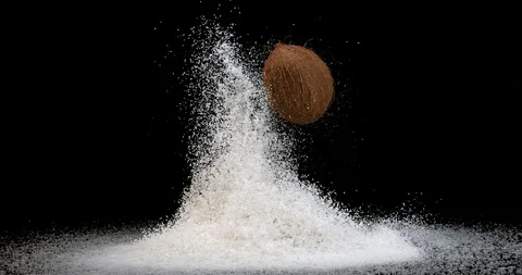 Cocos Nucifera Stock Video Footage | Royalty Free Cocos Nucifera Videos ...