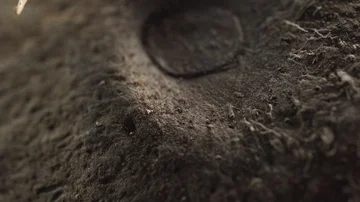 Coconut husk extreme close up stock foot... | Stock Video | Pond5