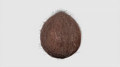 Coco Channel Video Stock Videos – Royalty-Free HD & 4K Videos | Pond5