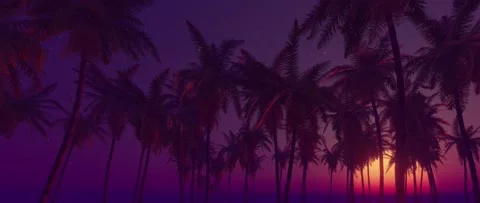 Coconut palm tree beachfront at sunset, ... | Stock Video | Pond5